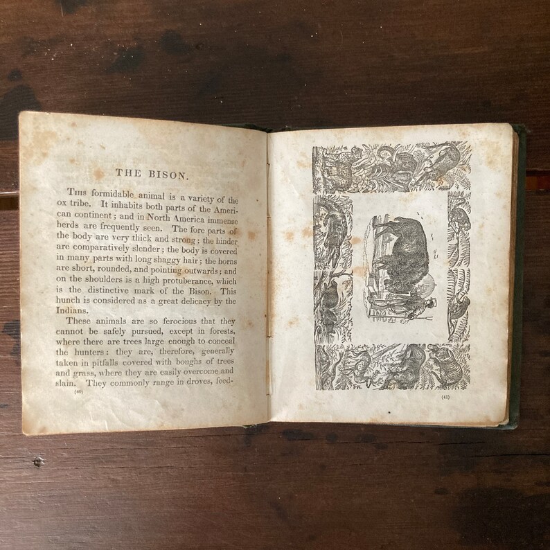 1854 Ramble’s Grand Menagerie Hardcover Book / Vintage Antiquarian ...