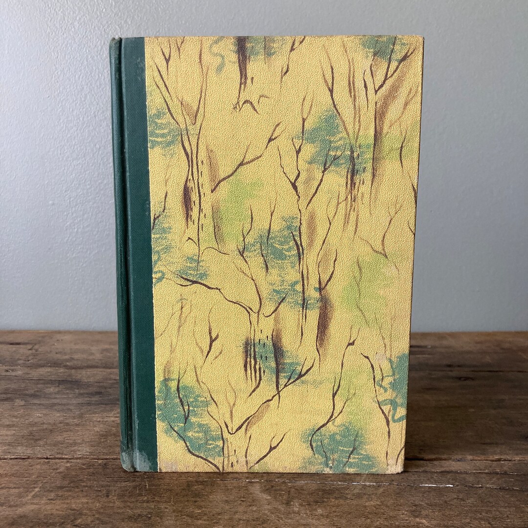 1946 “robin Hood and His Merry Outlaws” Hardcover Book / Vintage J ...