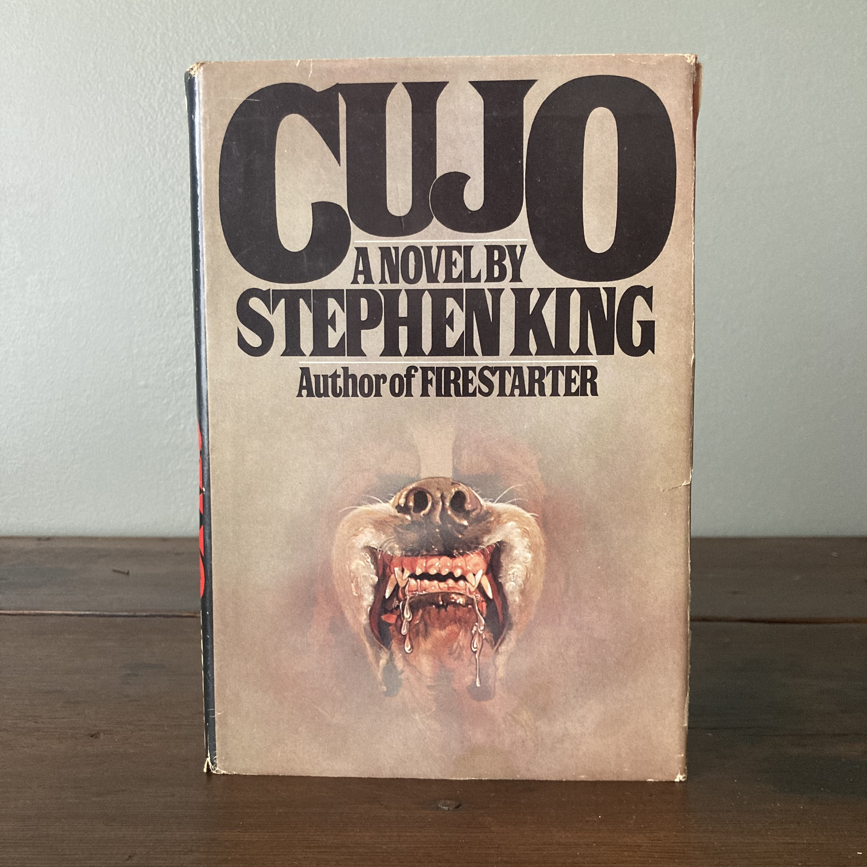 Old Book Cover Cujo