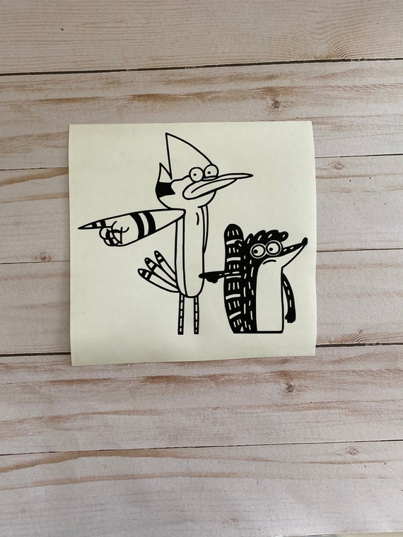 Raccoon And Blue Jay