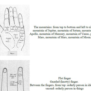 Palm Reading From Transylvania for Everybody - Etsy