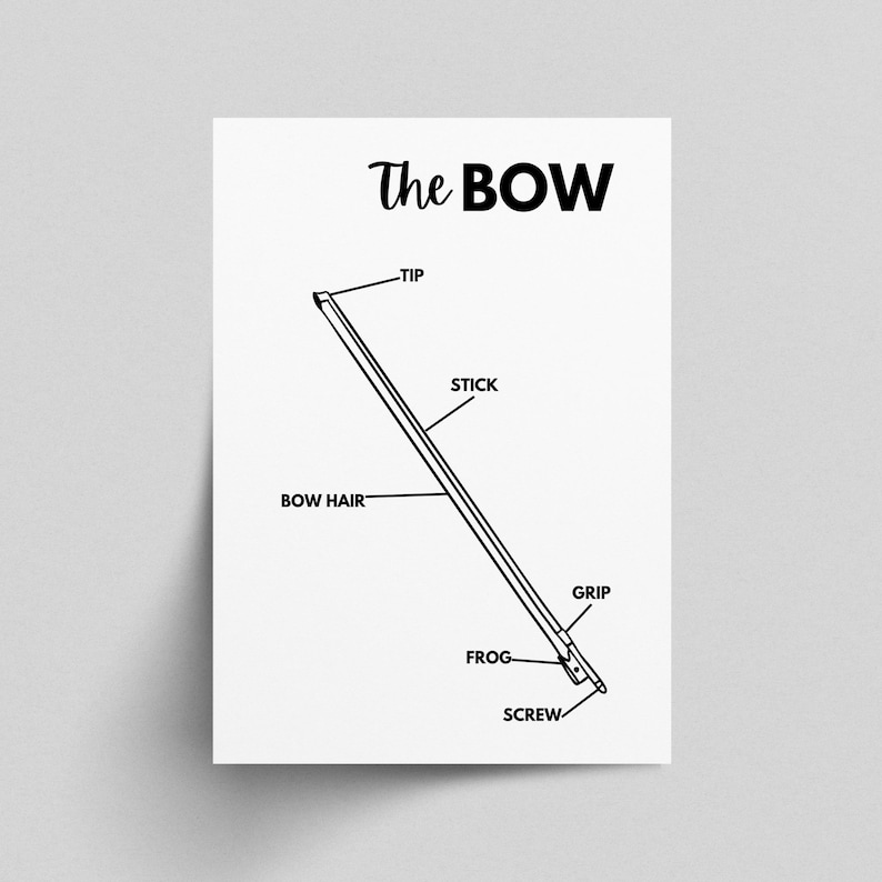 VIOLIN AND BOW Posters, Violin Anatomy Poster, Parts of the Violin and ...