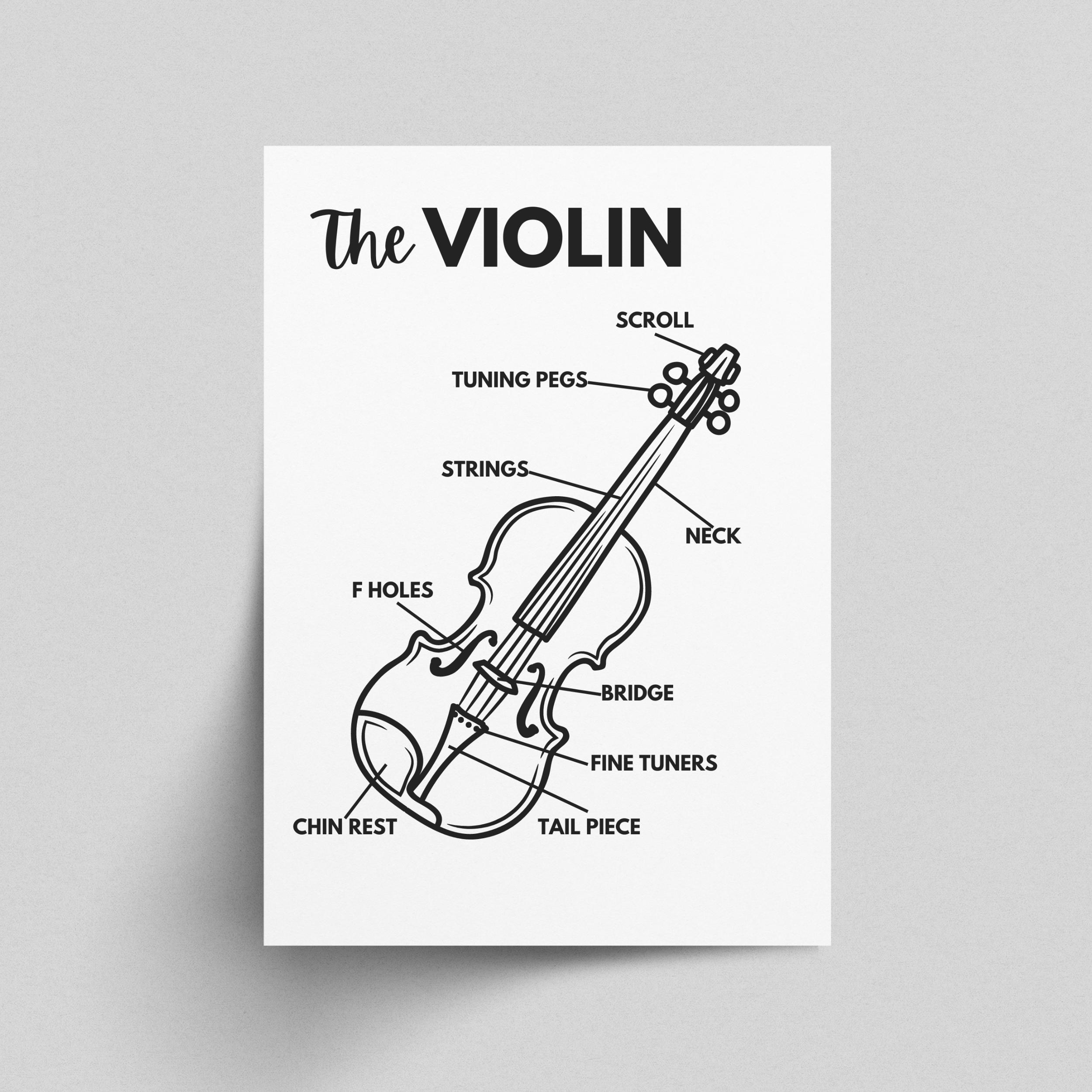 VIOLIN AND BOW Posters, Violin Anatomy Poster, Parts of the Violin and ...