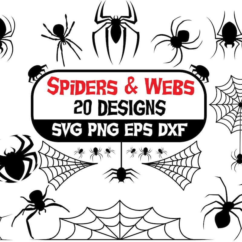 Spider Web Svg - Etsy