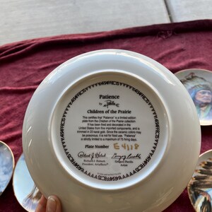Lot 10 Perillo Collector Plates Pride of the American Indians - Etsy