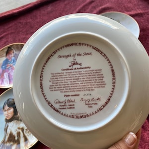 Lot 10 Perillo Collector Plates Pride of the American Indians - Etsy