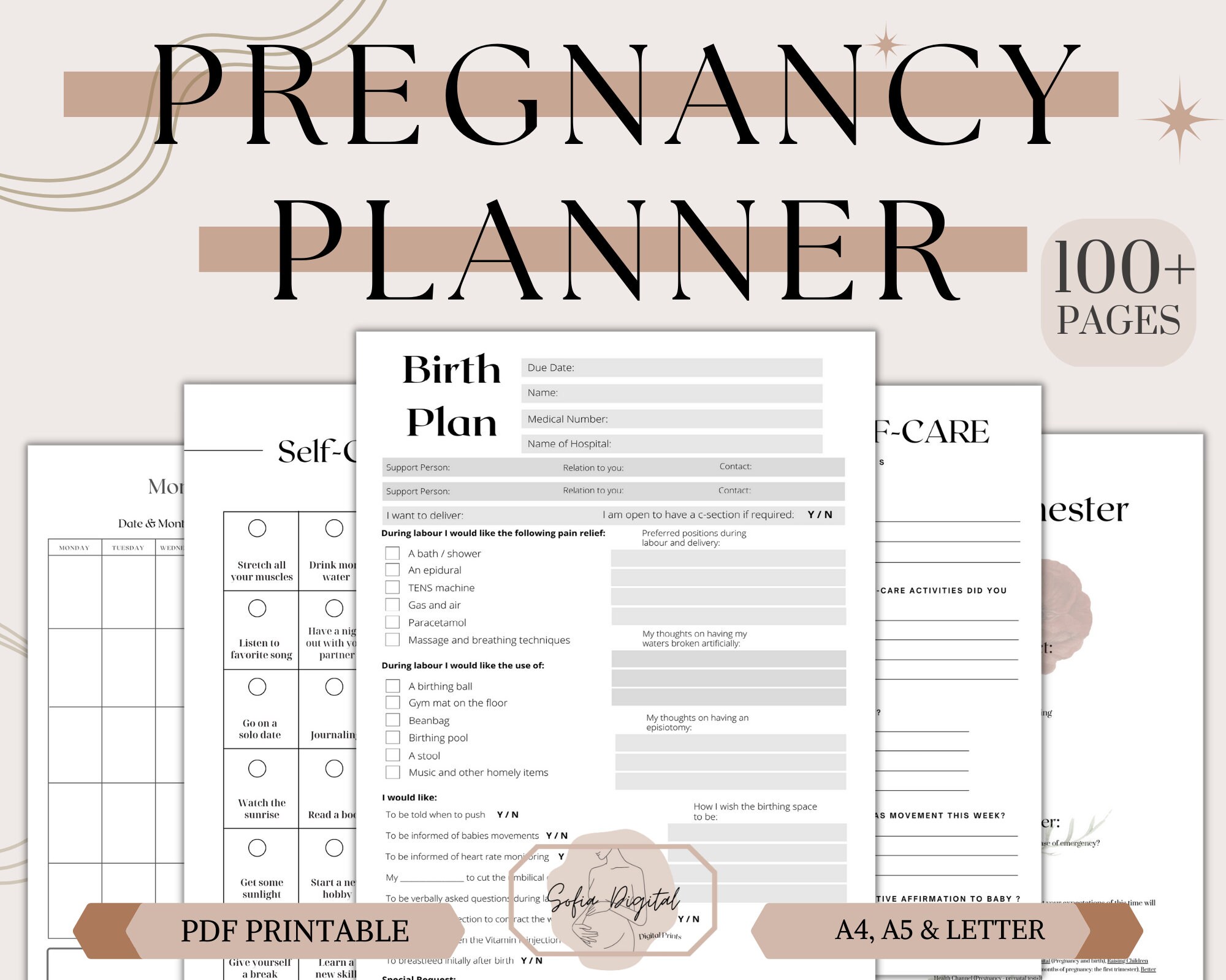 Pregnancy Planner, Printable Planner, Digital Planner,goodnotes ...
