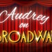 Broadway Theater Digital Backdrop Canva Template - Etsy