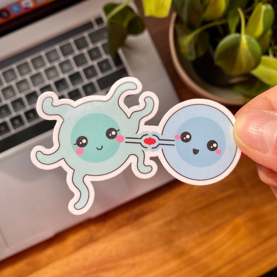 Immune Cells Vinyl Sticker Immunology Puns Perfect Gift for Phd ...