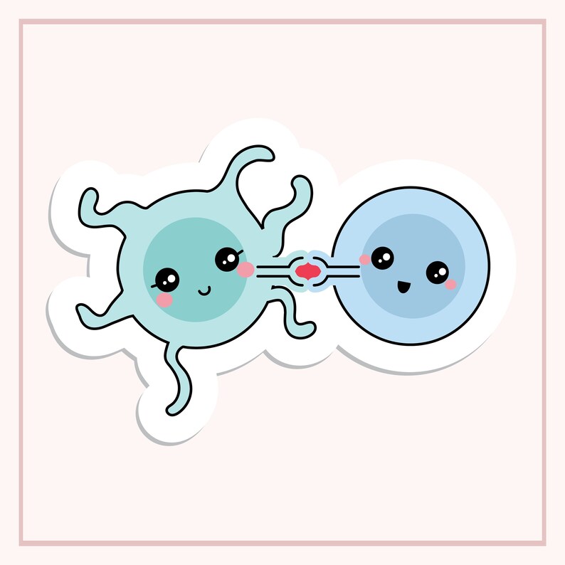 IMMUNE CELLS Vinyl Sticker Immunology Puns Perfect Gift | Etsy Canada