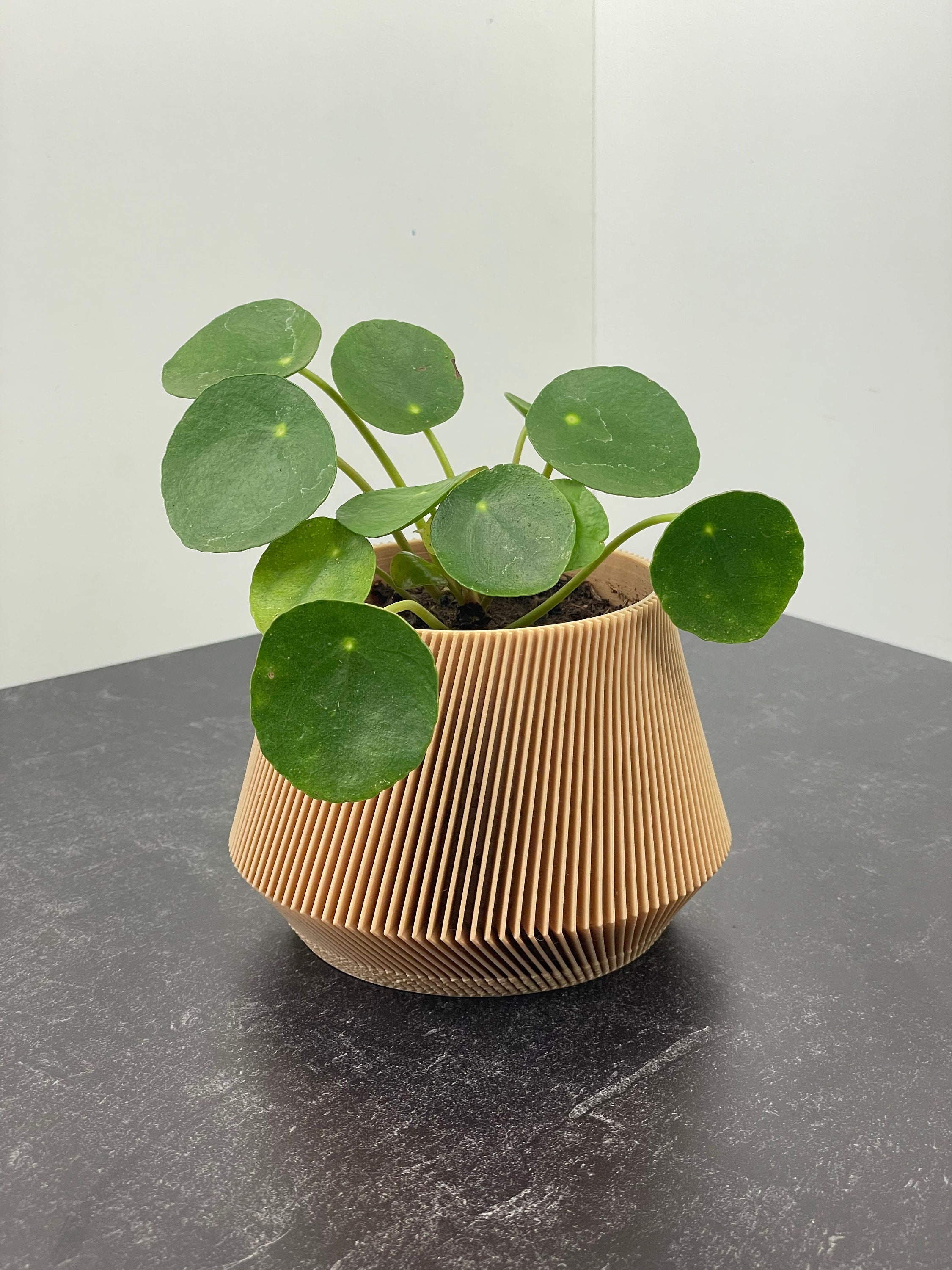 Indoor Wood Planter PRANA Japandi Design 3D Printed Flower Pot, Great ...