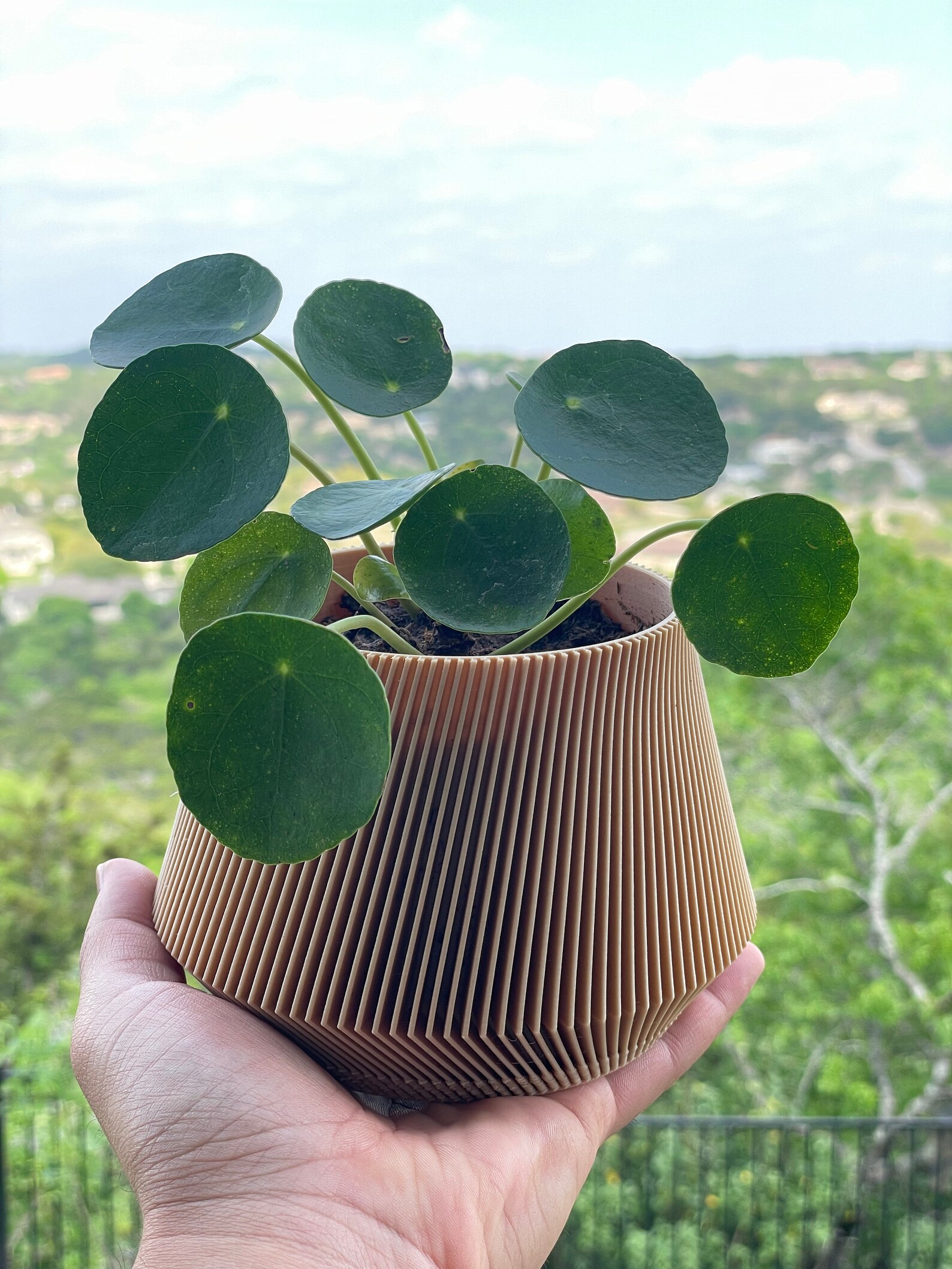 Indoor Wood Planter PRANA Japandi Design 3D Printed Flower Pot, Great ...