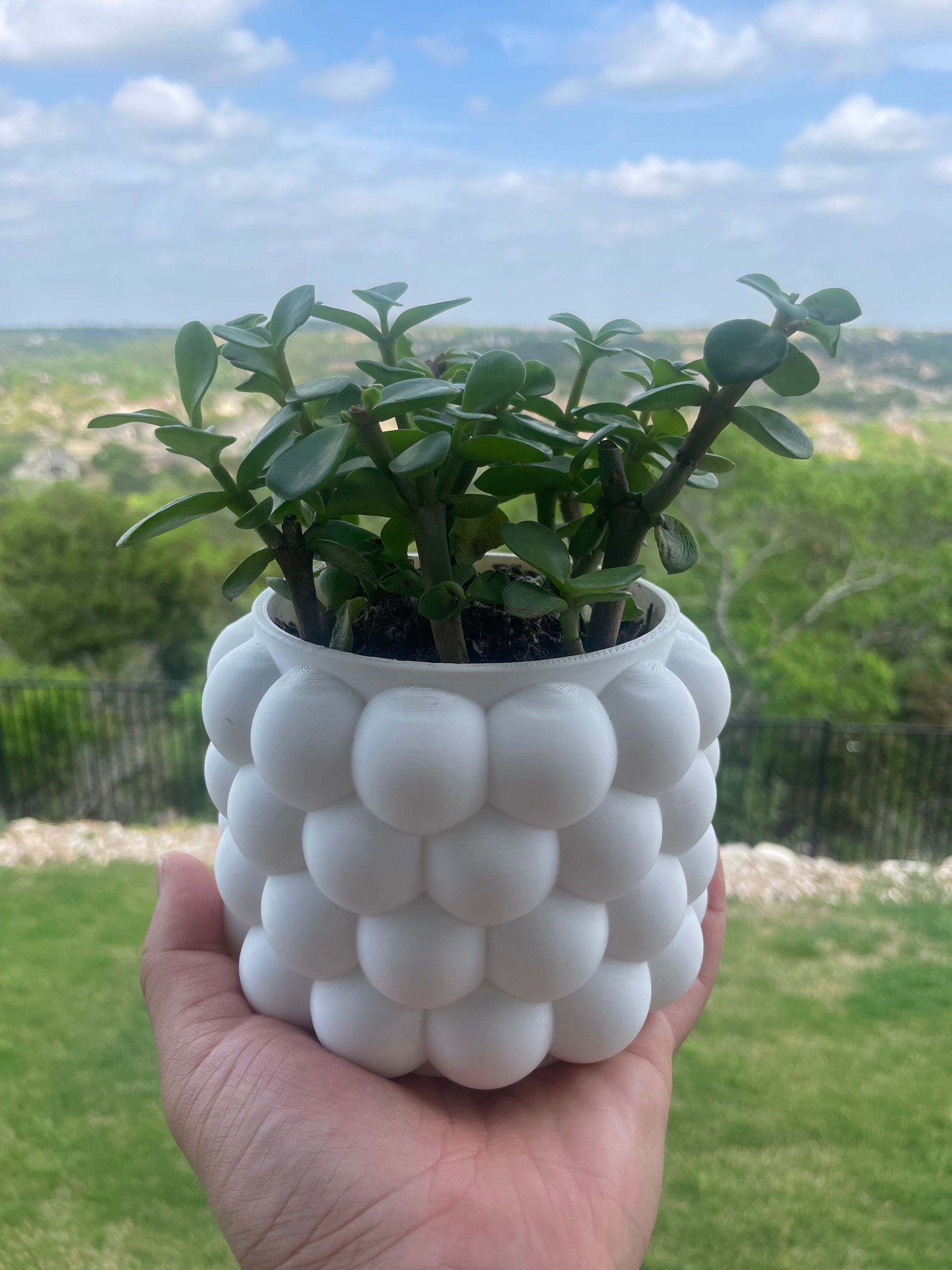 White Indoor BUBBLE Planter Pot Perfect Minimalistic Gift - Etsy