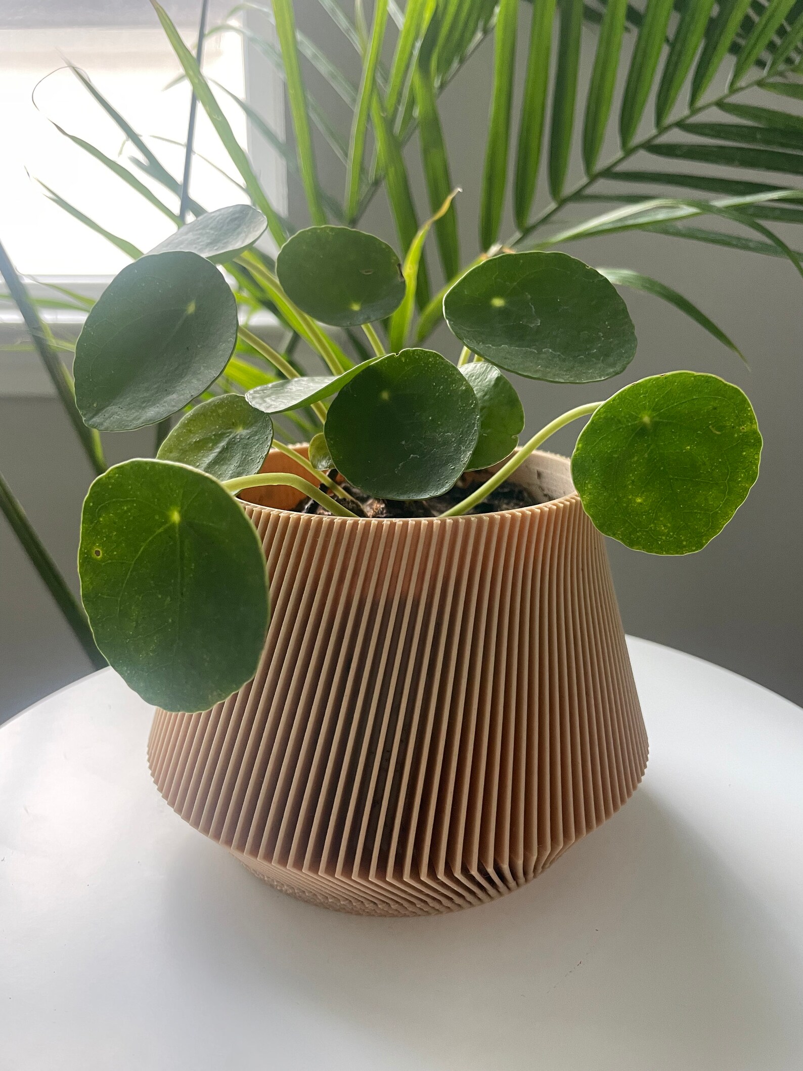 Indoor Wood Planter PRANA Japandi Design 3D Printed Flower Pot, Great ...