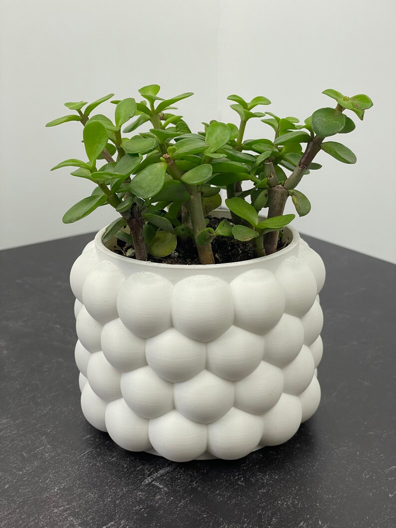 White Indoor BUBBLE Planter Pot Perfect Minimalistic Gift - Etsy