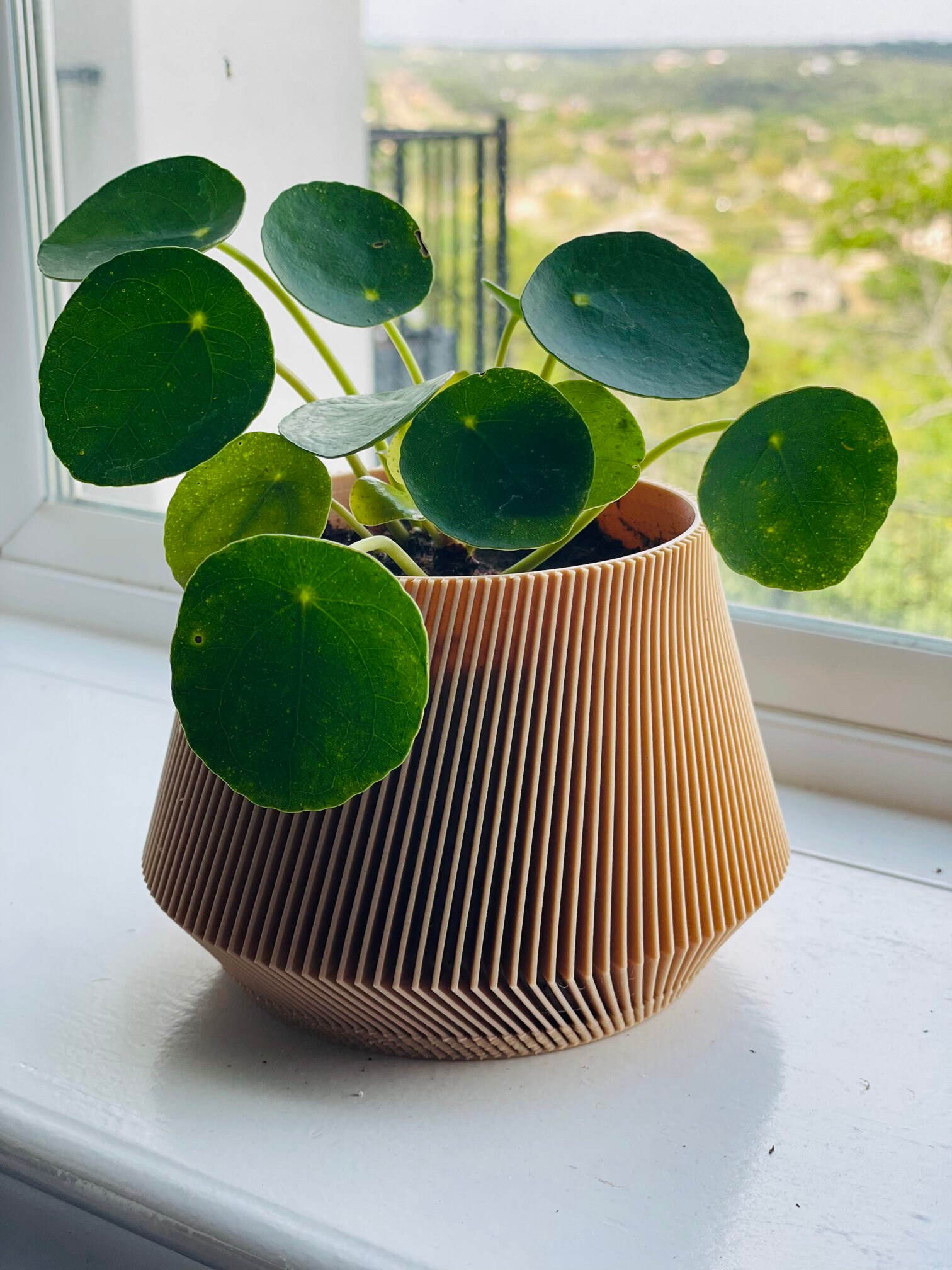 Indoor Wood Planter PRANA Japandi Design 3D Printed Flower Pot, Great ...