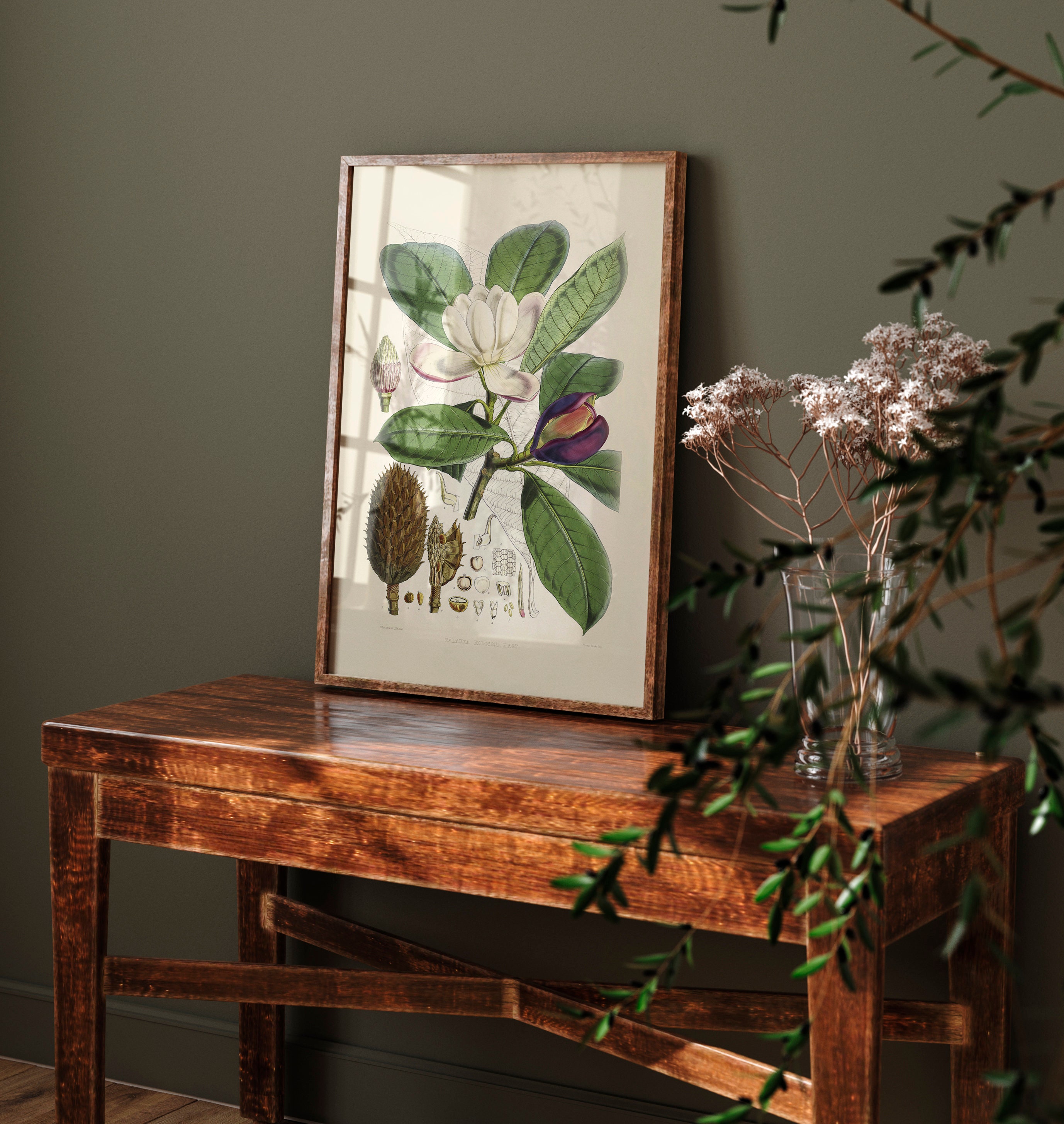 Plants Prints Set of 3 Vintage Prints Botanical Prints - Etsy UK