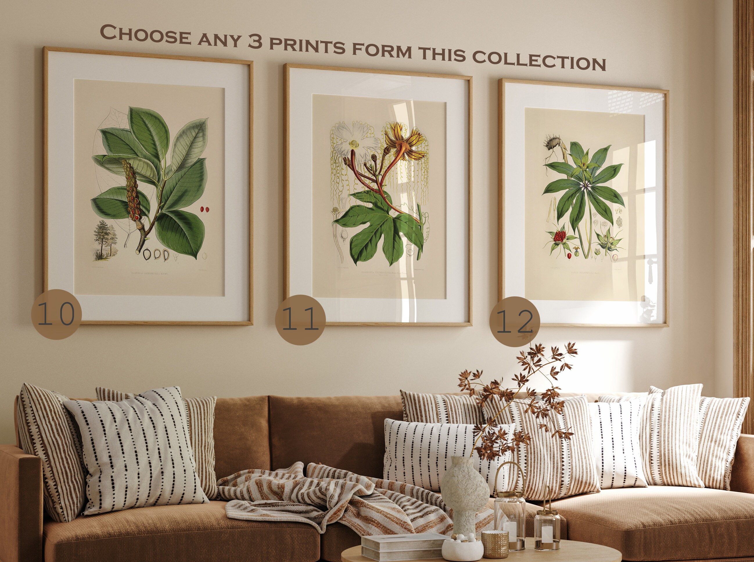 Plants Prints Set of 3 Vintage Prints Botanical Prints - Etsy UK