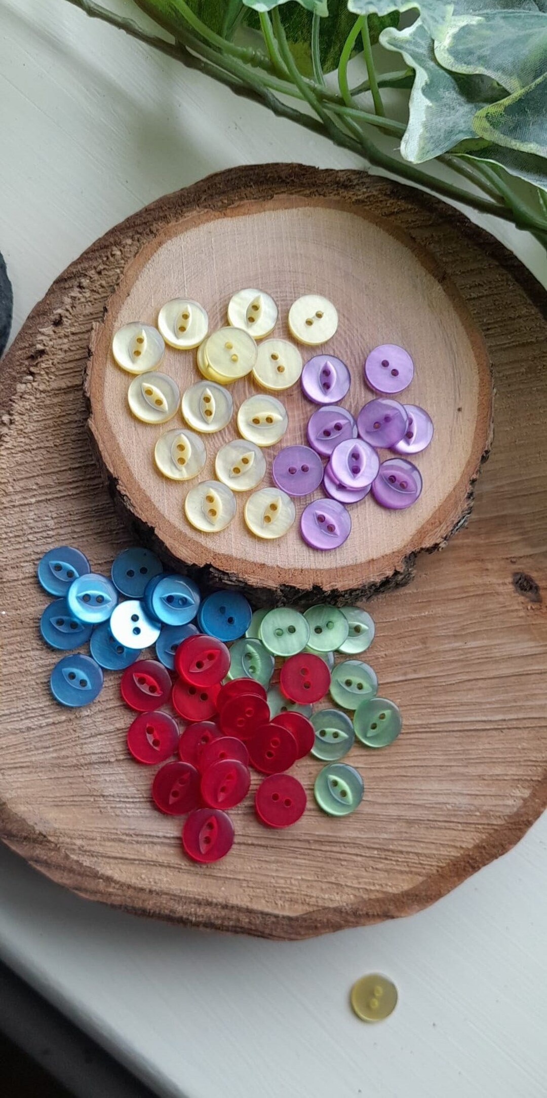 Plain Buttons in 5 Colours of Green, Red, Blue, Yellow and Lilac, 10mm ...