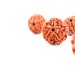 Sacred Five Faced Rudraksha Beads Macro Images Tears of Shiva, a ...