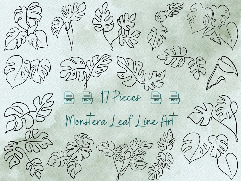 Monstera Leaf Line Art Digital Bundle, Digital File, Monstera Leaf ...