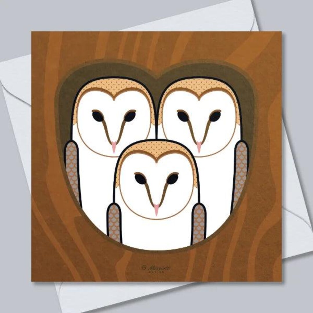 Barn Owl Family Wildlife Greetings Card With RSPB Donation - Etsy UK