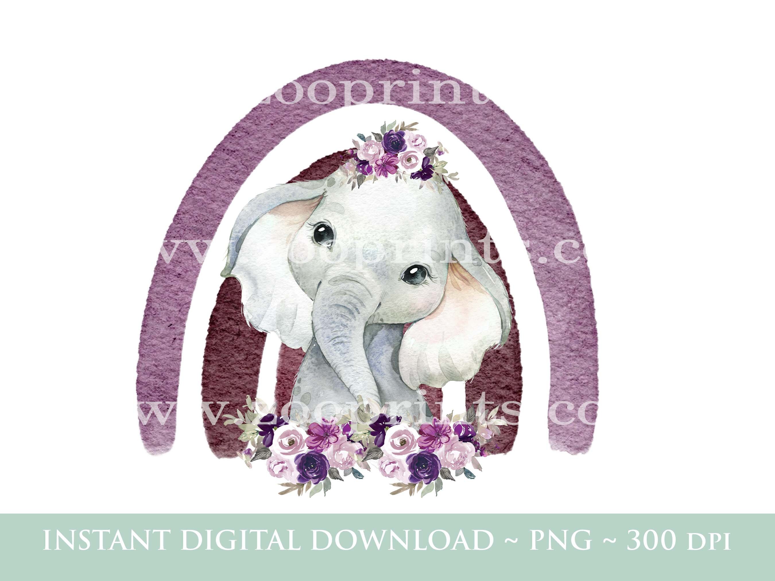 Baby Elephant Purple Floral PNG, Safari Rainbow PNG, Watercolor ...