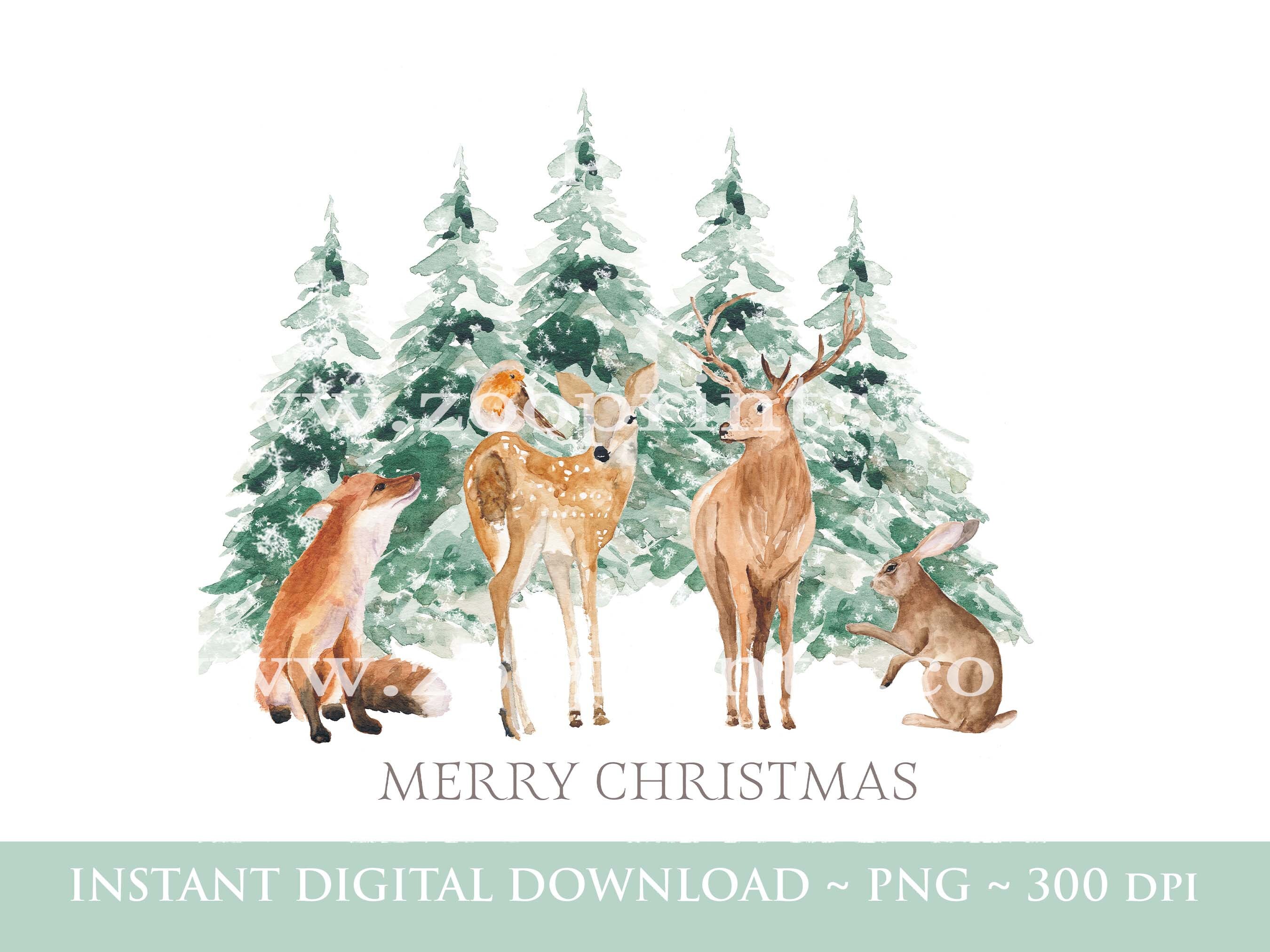 Winter Forest Animals PNG, Woodland Deer Design, Deer Clip Art ...