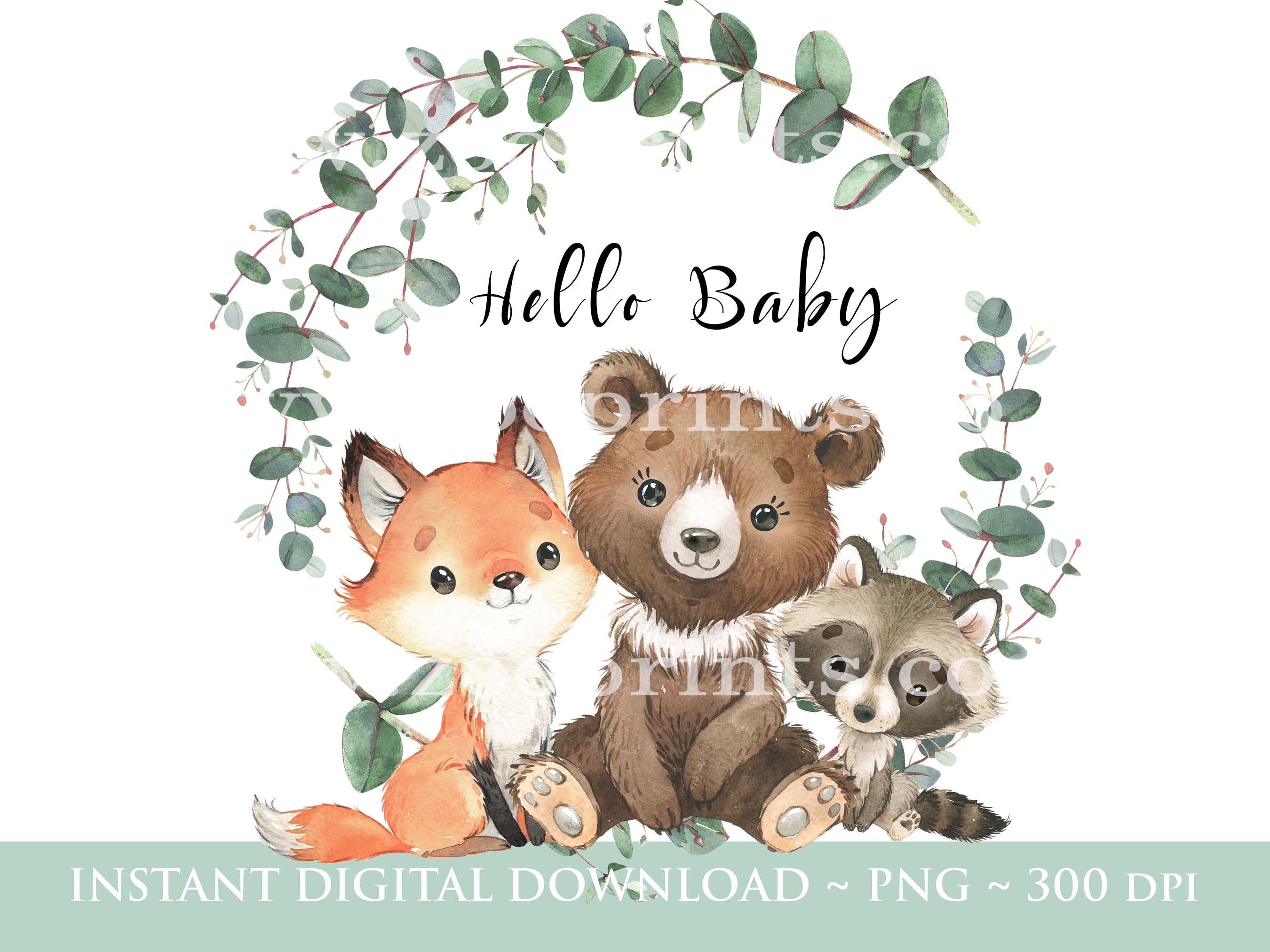 Hello Baby, Woodland Forest Animals Eucalyptus Wreath PNG, Woodland ...