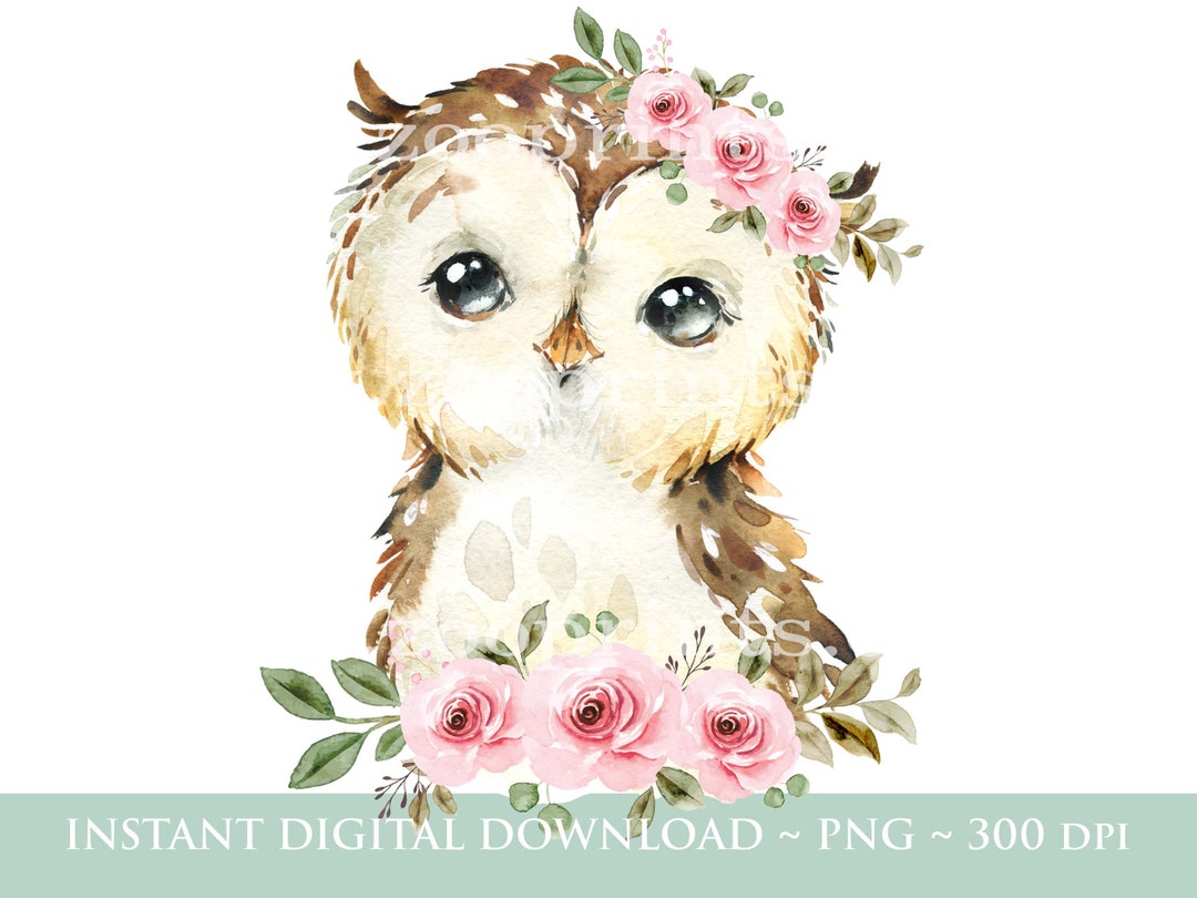 Baby Owl Pink Wreath PNG, Woodland Birthday Party Clipart, Owl ...