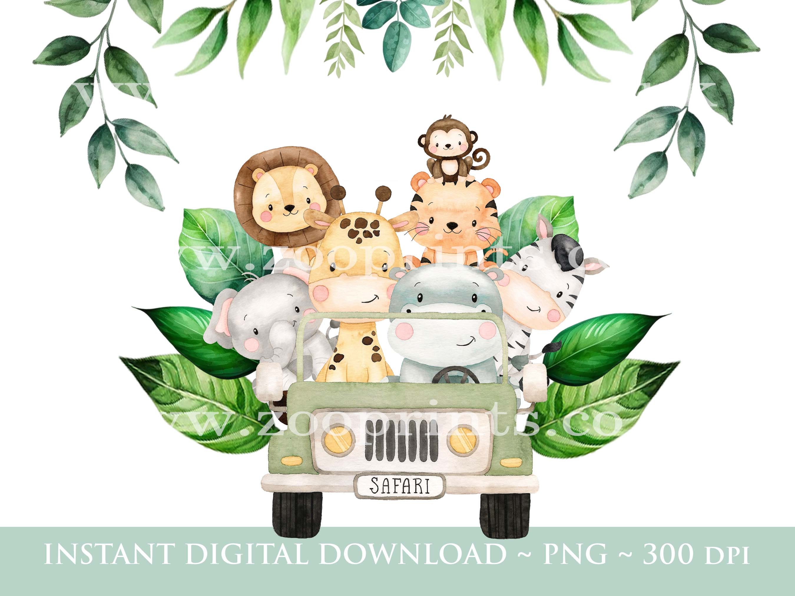 Baby Safari Animals Kids Car PNG, Watercolor Baby Animals, T Shirt ...