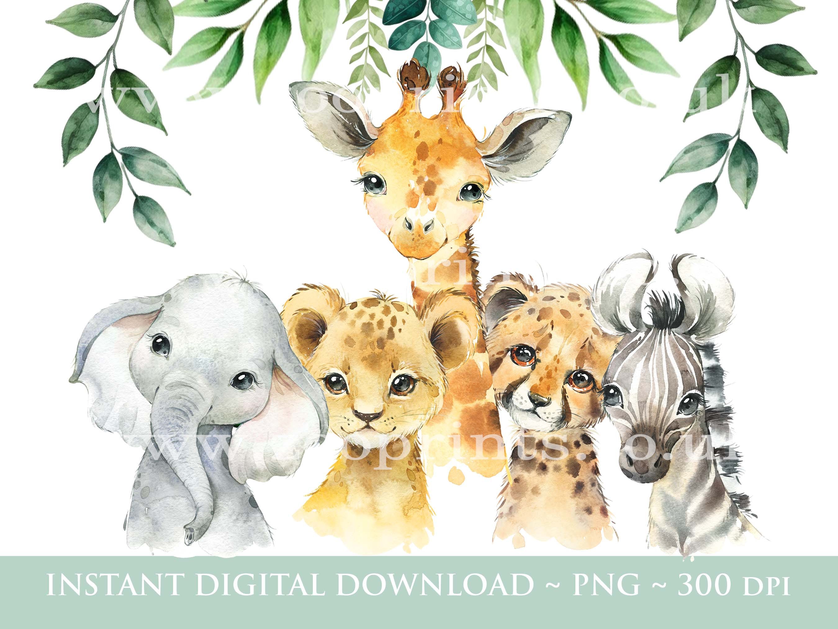 Baby Jungle Animals Clipart at Kimberly Whitehead blog