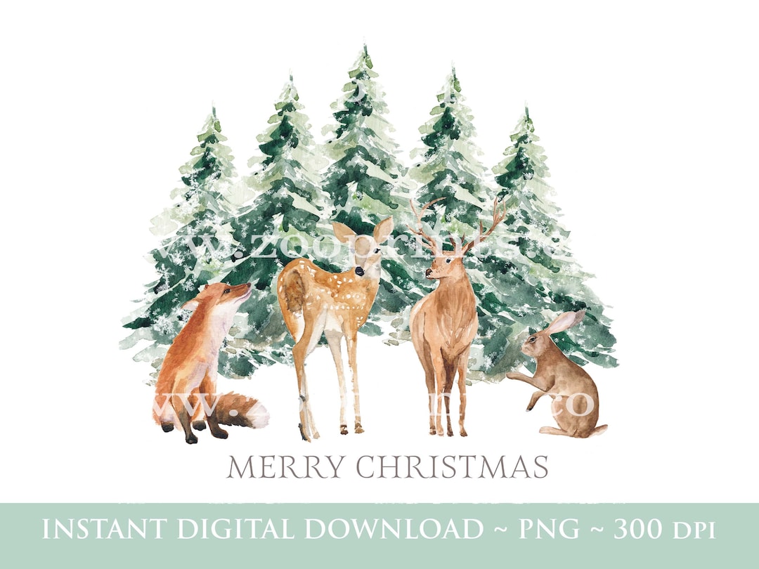 Winter Forest Animals PNG, Woodland Deer Design, Deer Clip Art ...