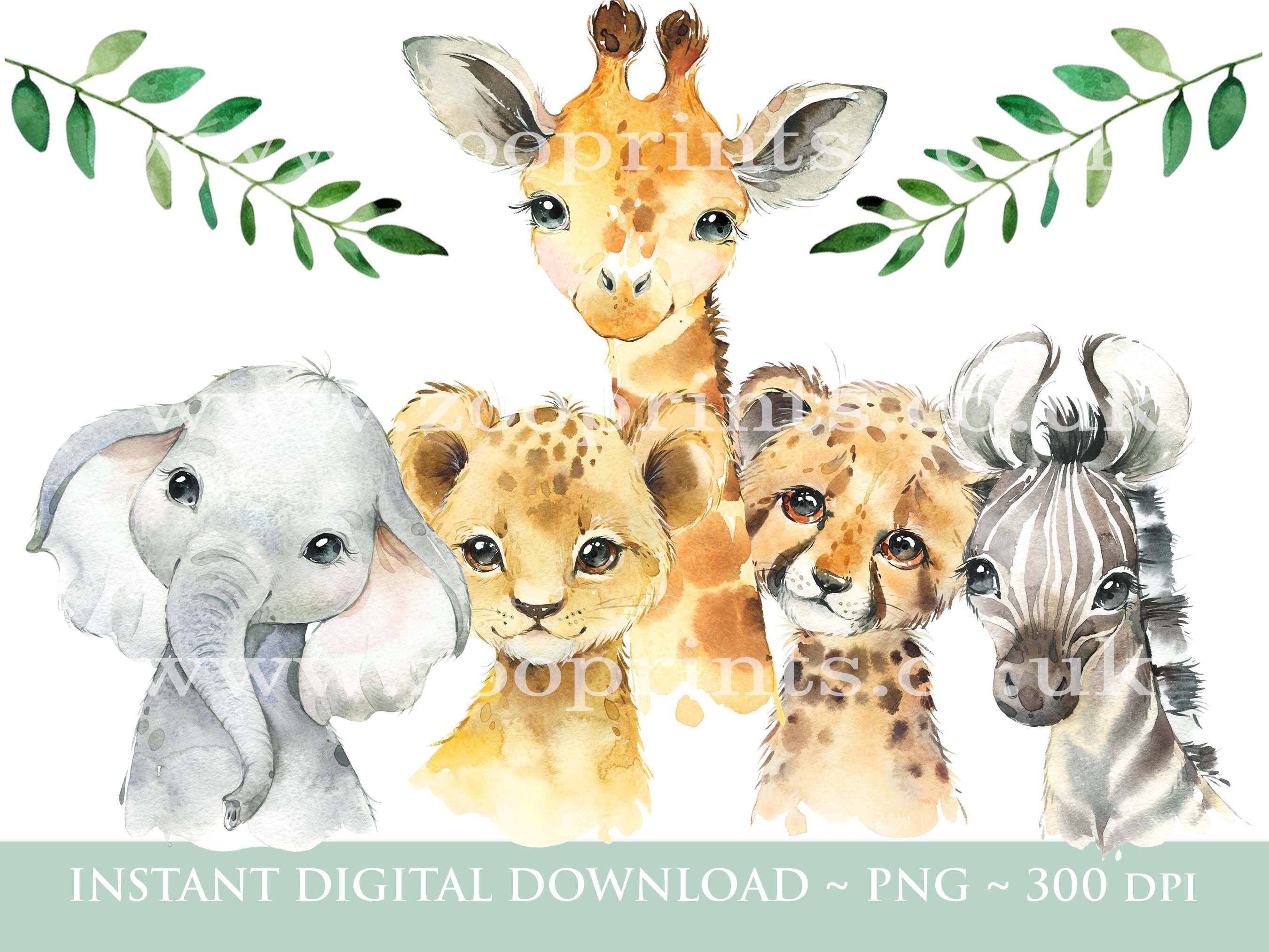 PNG Tropical Jungle Safari Animals Car, Kids Sublimation, Baby Shower ...