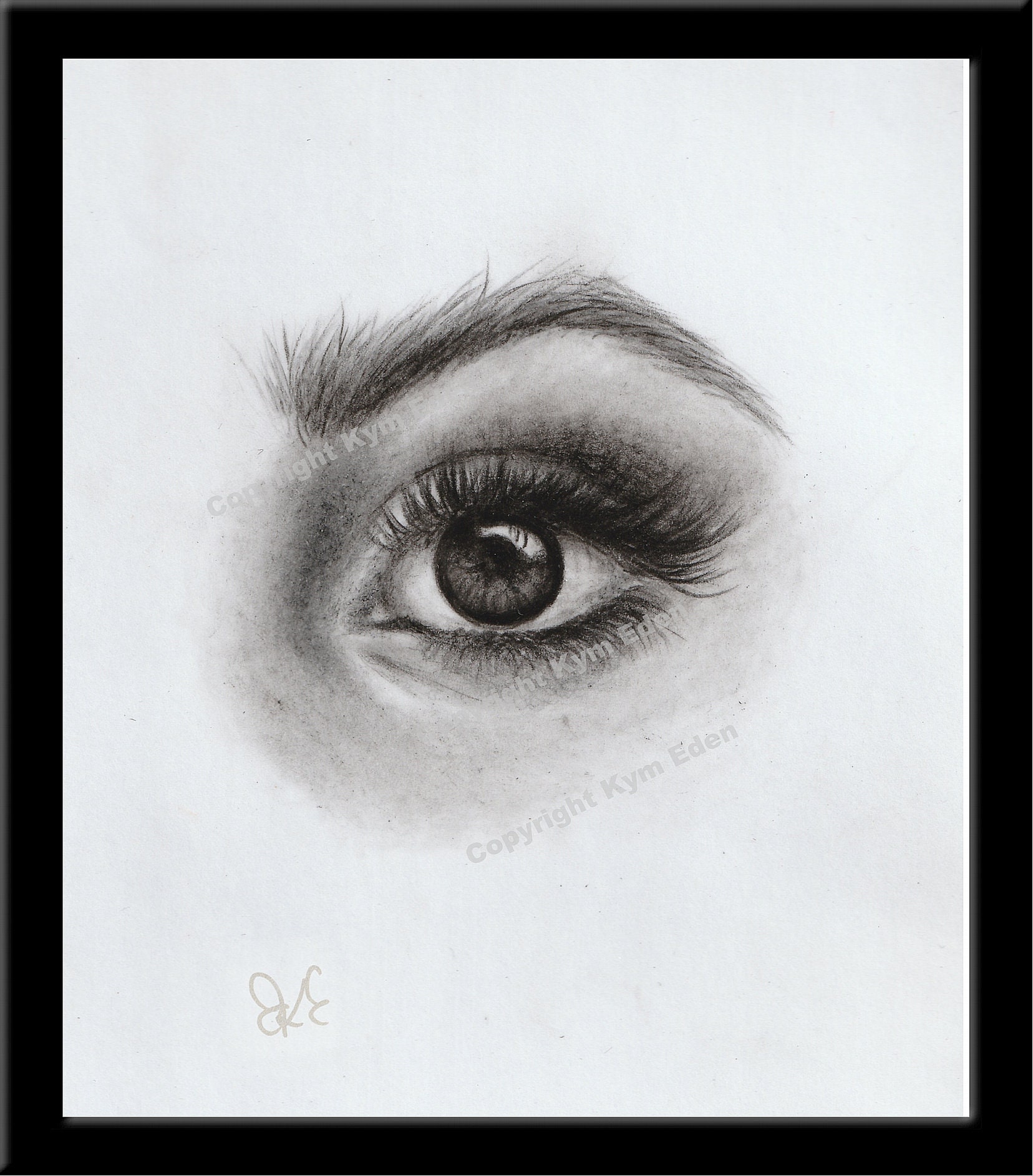 The Eye Realistic Hand Drawn Graphite Illustration of a Human Eye, YOU ...