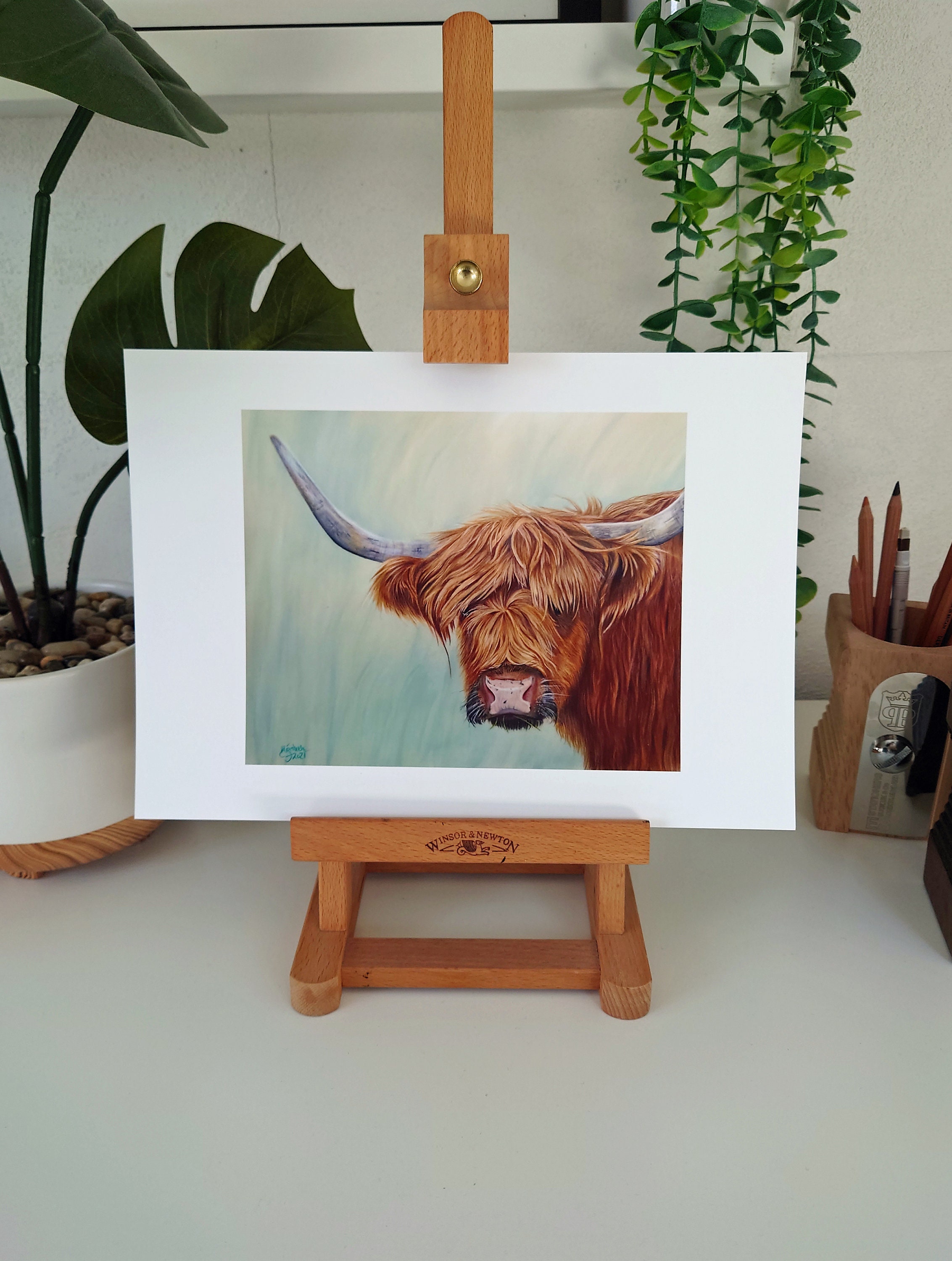 Highland Cow Colour Pencil Drawing A4 Print - Etsy UK