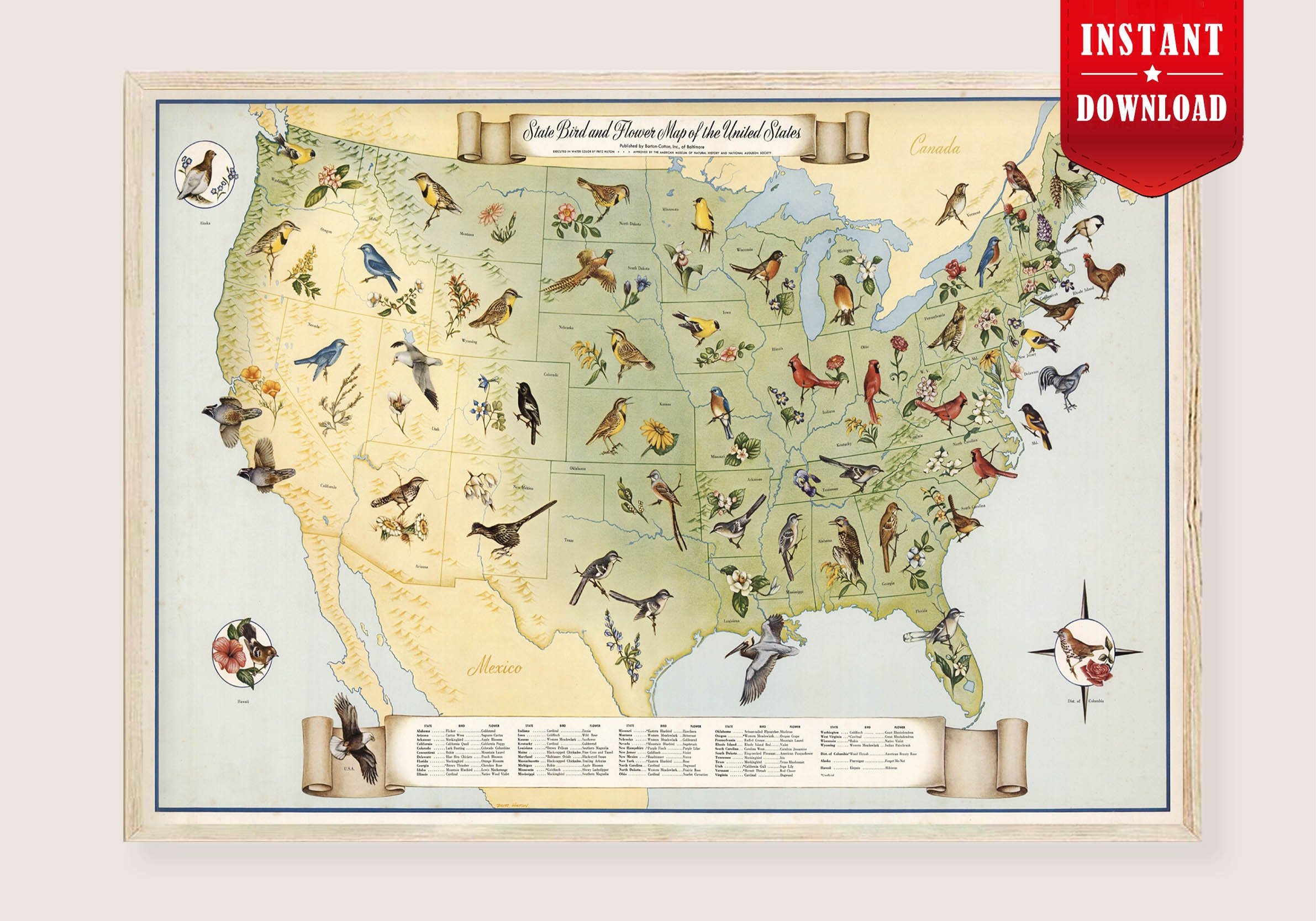 Bird Map of North America Download - Birds Wall Map, Vintage Map of ...