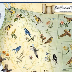 Bird Map of North America Download - Birds Wall Map, Vintage Map of ...