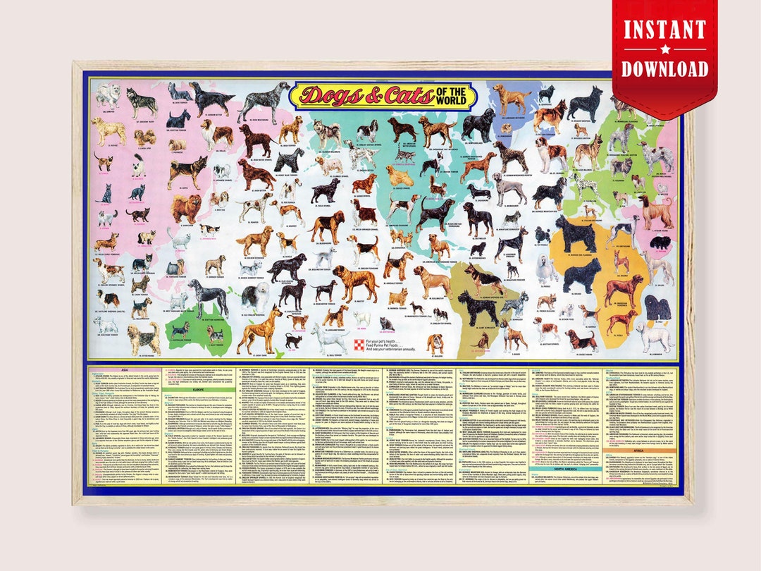 Dogs & Cats of All Nations Map Digital - Dogs World Map Wall Art Kids ...