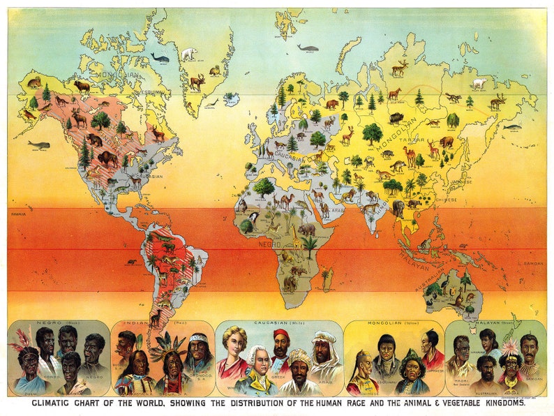 Climatic Map of the World Digital Poster - Human Race Map, Animal ...