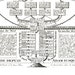 Biblical Family Tree Histomap Download, Biblical Map Genealogical Tree ...
