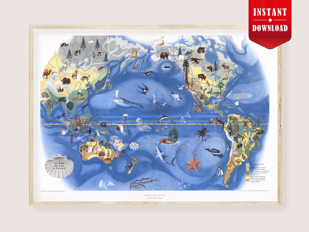 World Wildlife Map Print Digital - Pictorial Animal World Map Download ...