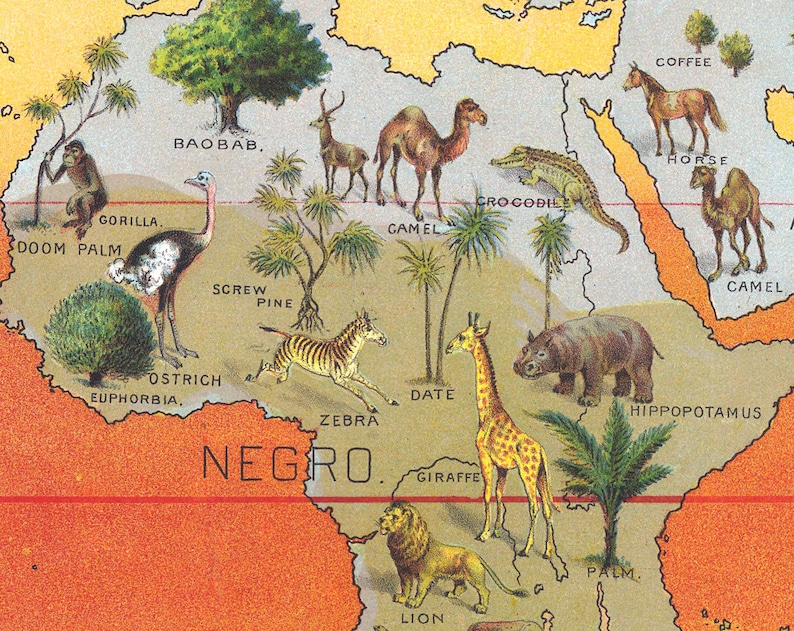 Climatic Map of the World Digital Poster Human Race Map, Animal ...