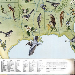 Bird Map of North America Download - Birds Wall Map, Vintage Map of ...