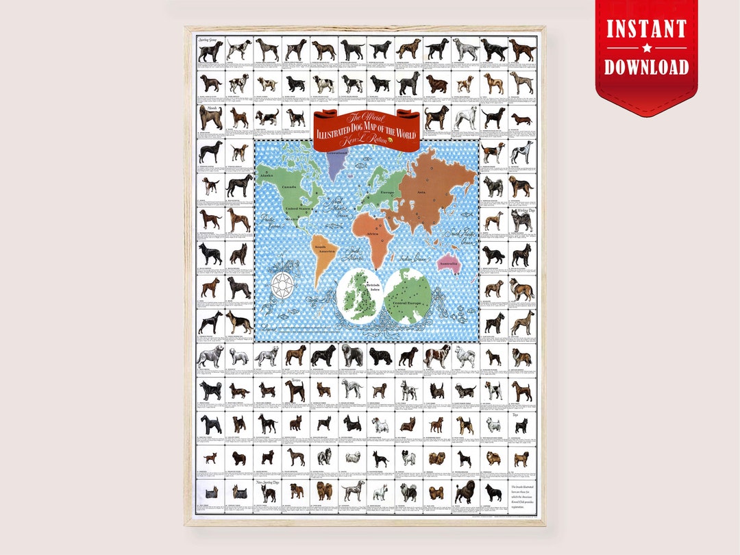 Dogs of the World Map Poster Download - Illustrated Dogs Breeds Wall ...