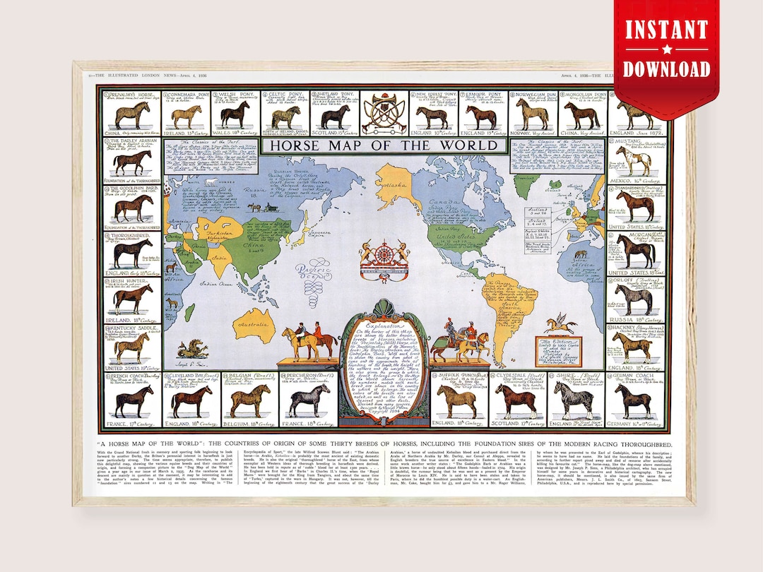 Horses of All Nations Map Digital - Illustrated Horses Map of the World ...