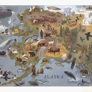 Alaska Wildlife Map Print Digital - Pictorial Animal Alaska Map ...