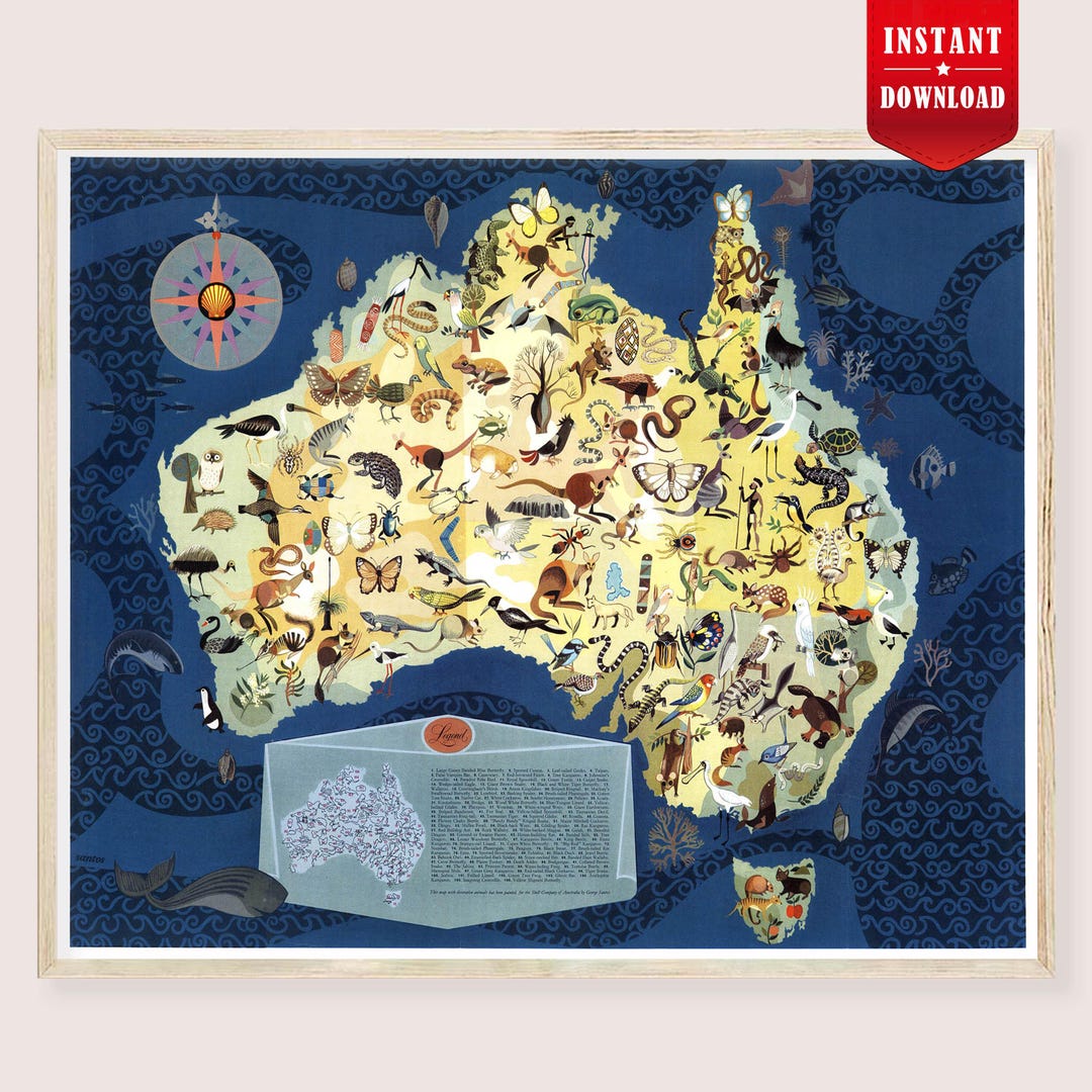 Australia Wildlife Map Poster Wall Art Digital, Pictorial Map of ...