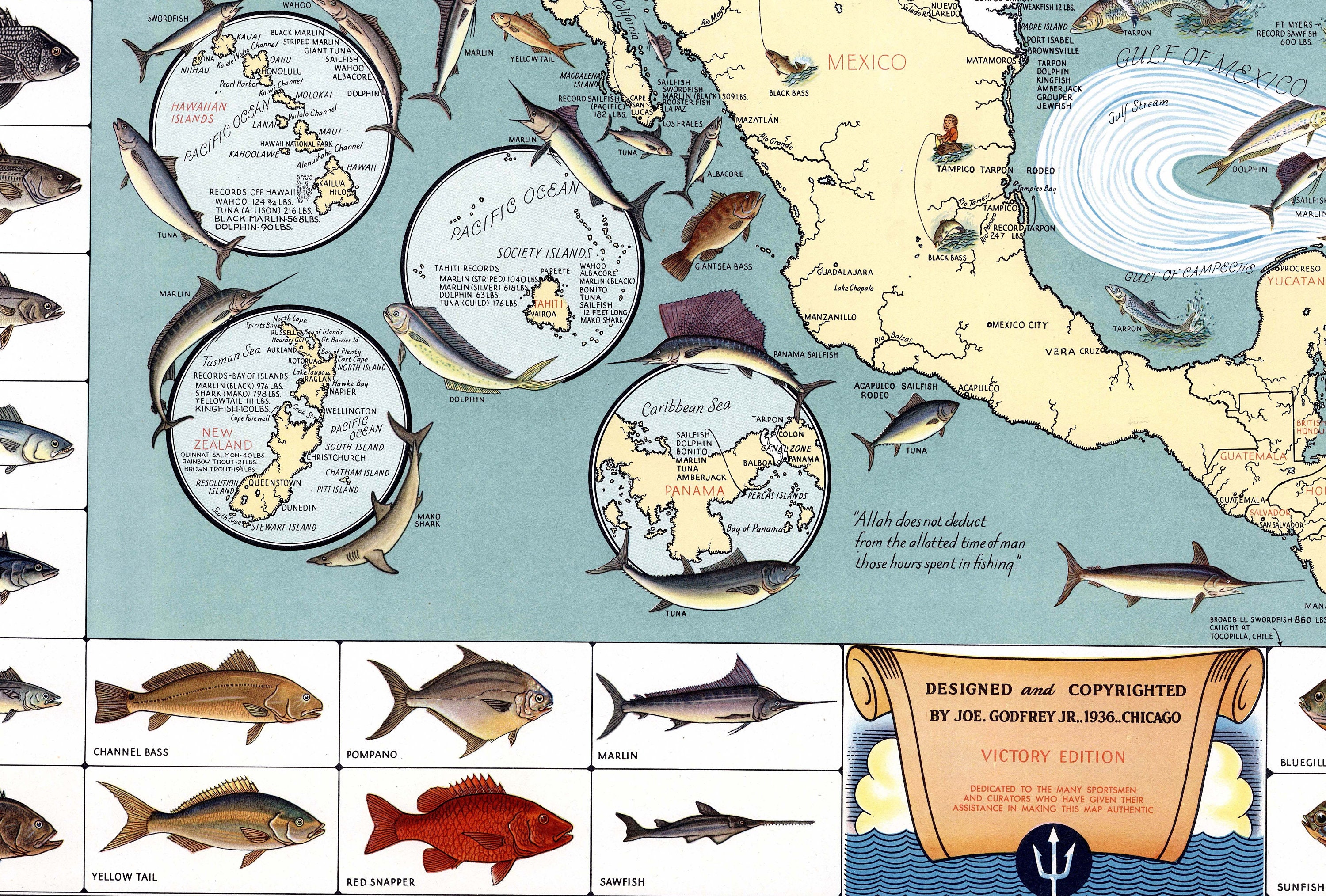 Big Game Fish Map Download Fish Map of the US Big Game Poster Digital ...