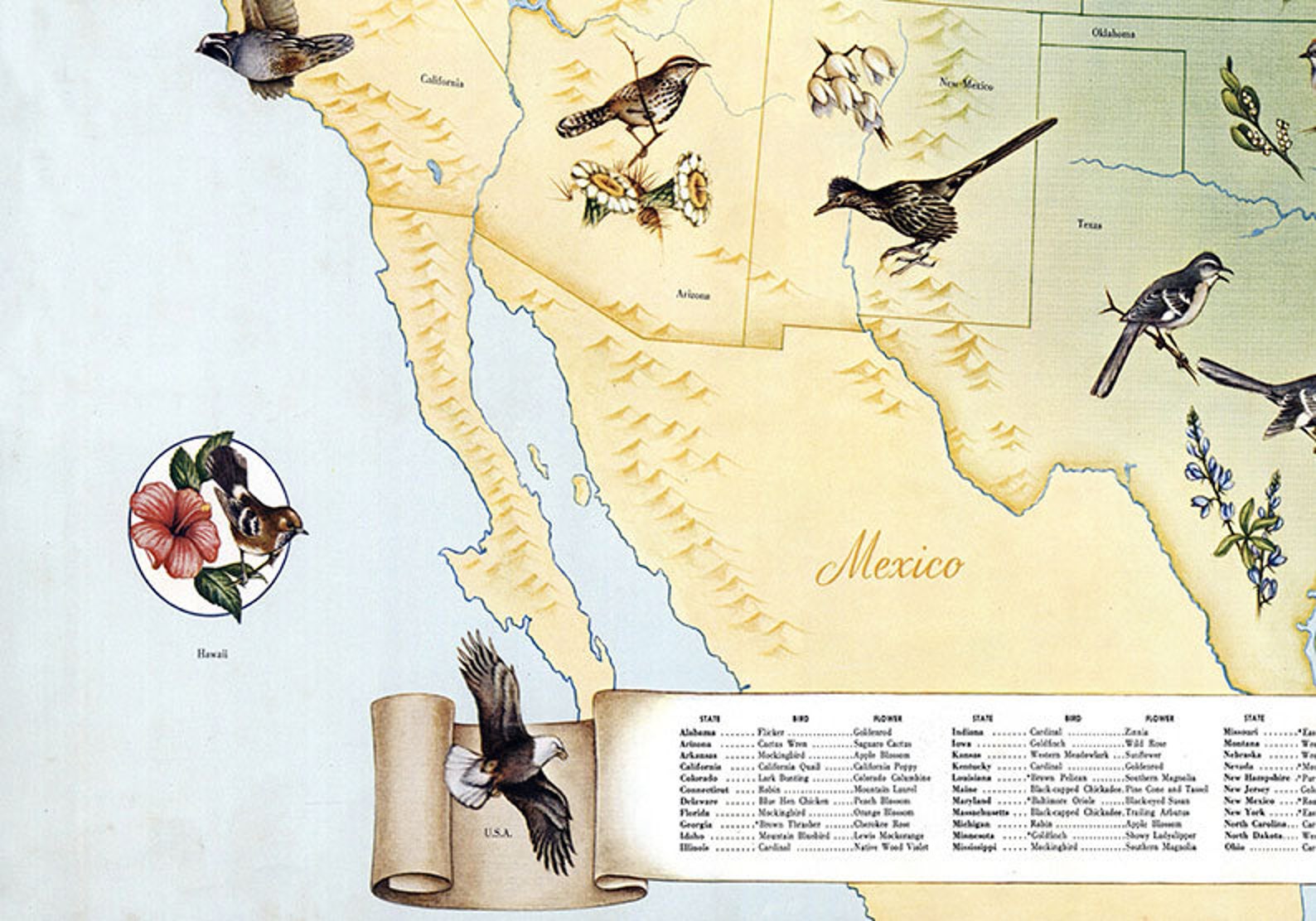 Bird Map of North America Download - Birds Wall Map, Vintage Map of ...